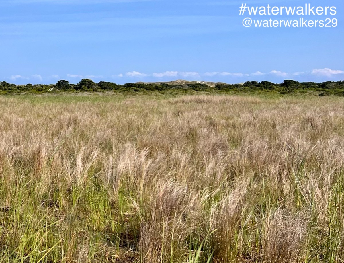 #transformationtuesday #waterwalkers | Water Walkers