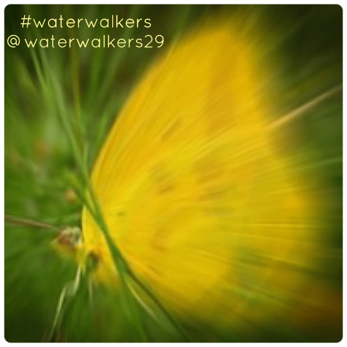 #fall #blessings #waterwalkers | Water Walkers
