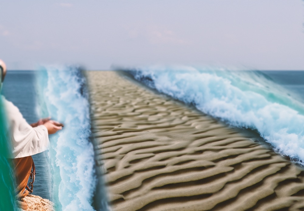 #willwednesday #signsandwonders #waterwalkers | Water Walkers