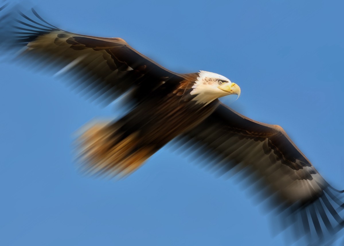 #troublesthursday #mygodcan #waterwalkers | Water Walkers