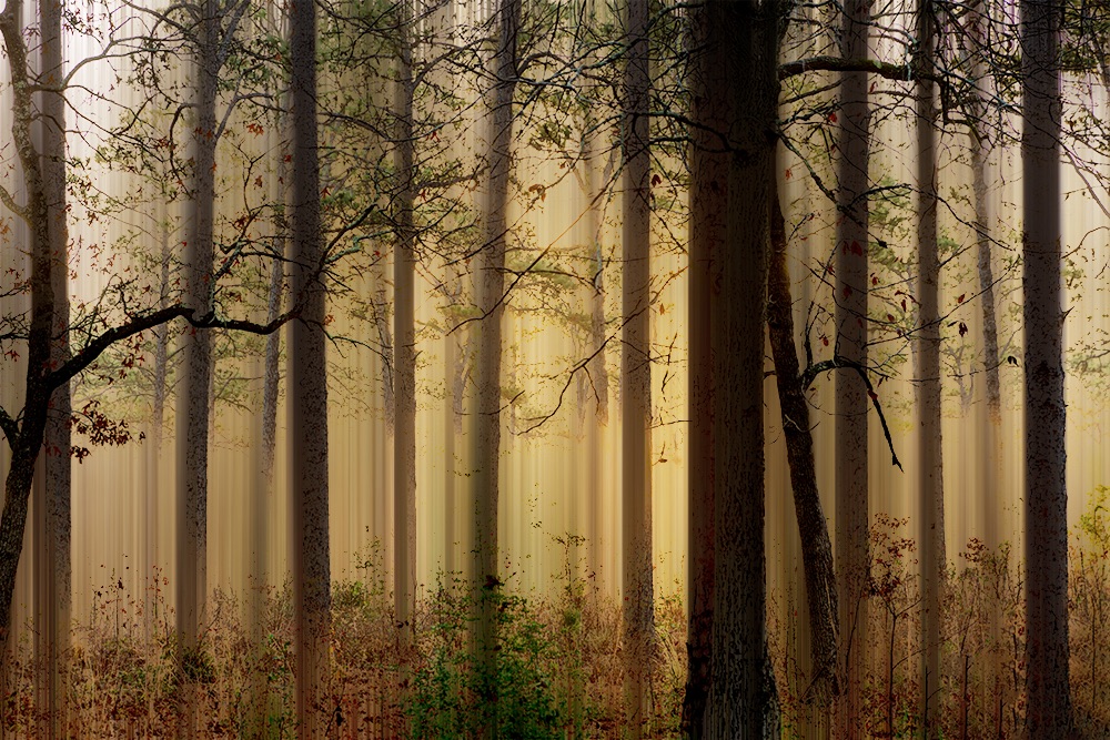 #wishwednesday #washfeet #waterwalkers | Water Walkers