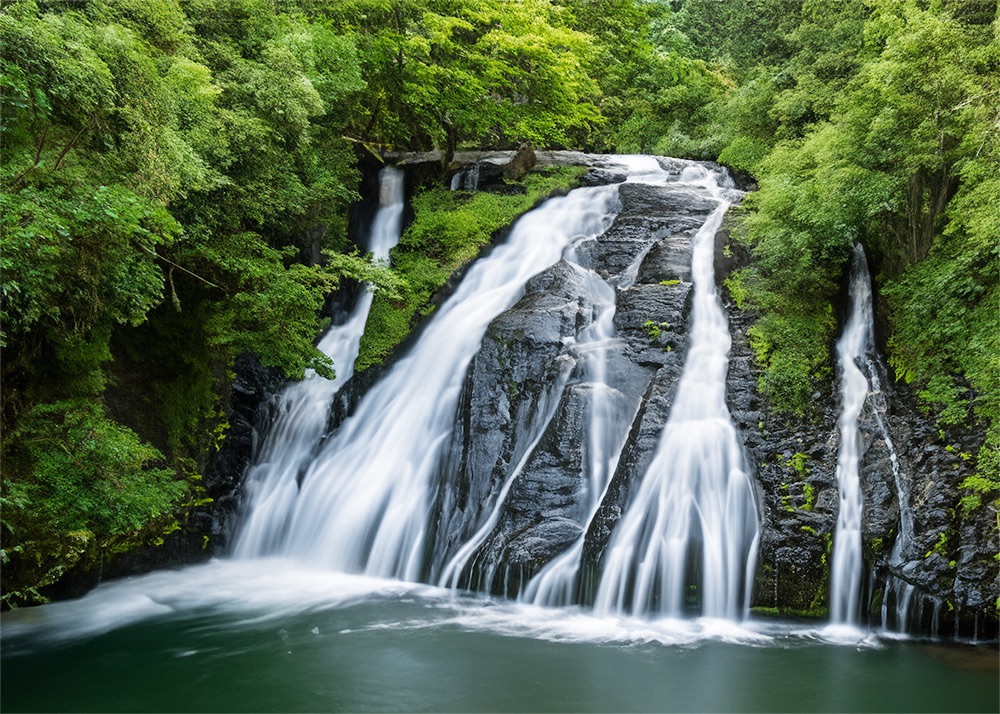 #waterwalkingwednesday #grace #waterwalkers | Water Walkers