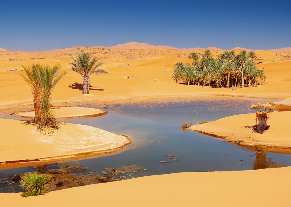 #meditatemonday #christianliving #waterwalkers | Water Walkers