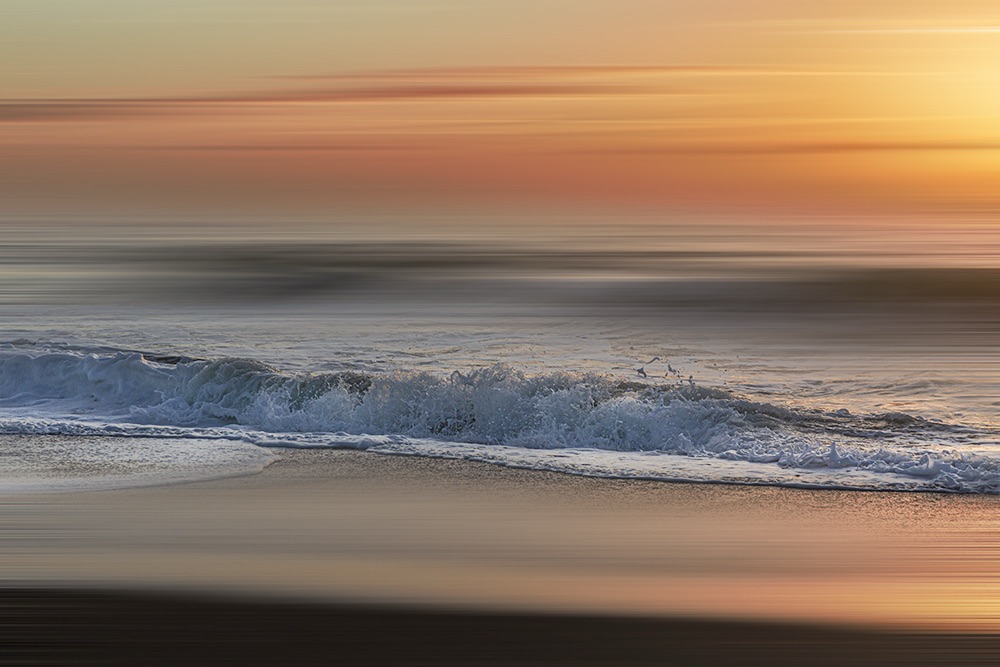 #fermentfriday ‭‭#practice #waterwalkers #waterwalkers29 | Water Walkers