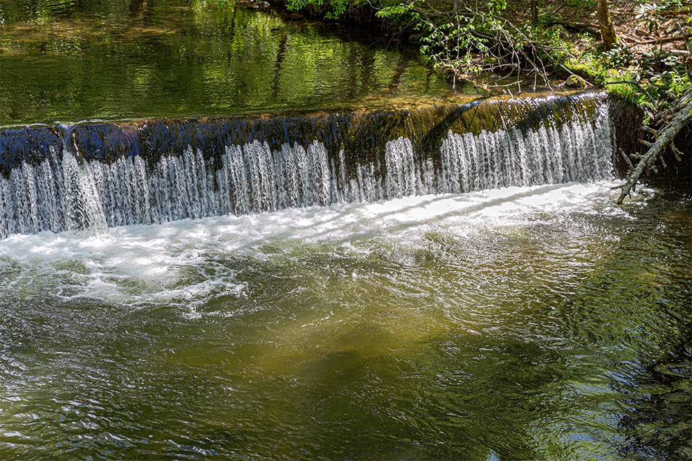 #thankfulthursday #unstuck #waterwalkers | Water Walkers