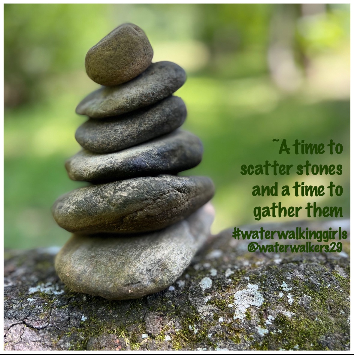 #testifytuesday #seasons #waterwalkers29 | Water Walkers