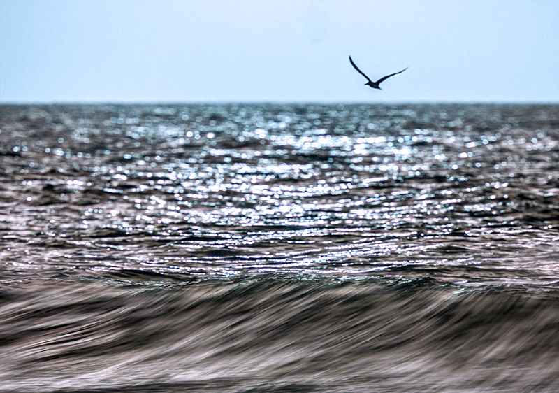 #waterwalkingwednesday #influence #waterwalkers29 | Water Walkers