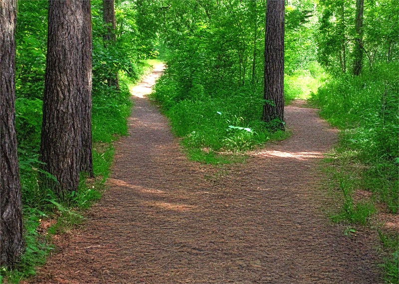 #finishfriday #obedience #waterwalkers29 | Water Walkers