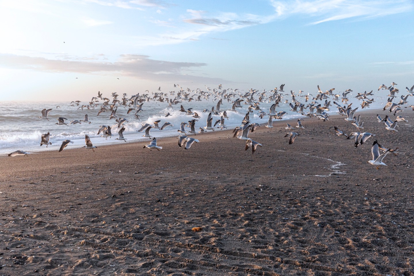 #thankfulthursday #exercisehabits #waterwalkers29 | Water Walkers